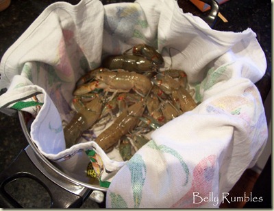 How to Cook Live Australian Yabbies - Belly Rumbles